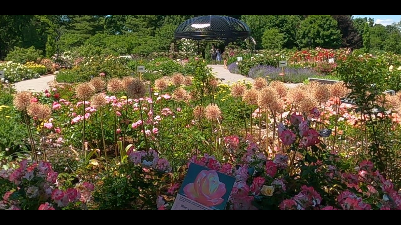 The Largest Botanical Garden in Canada: Royal Botanical Gardens - YouTube