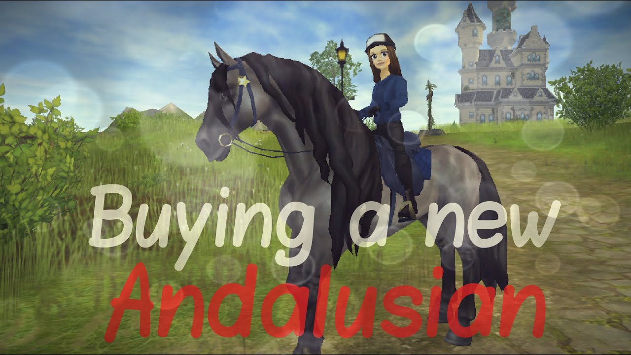 •SSO• Buying my new Andalusian horse WOLFSECRET - YouTube