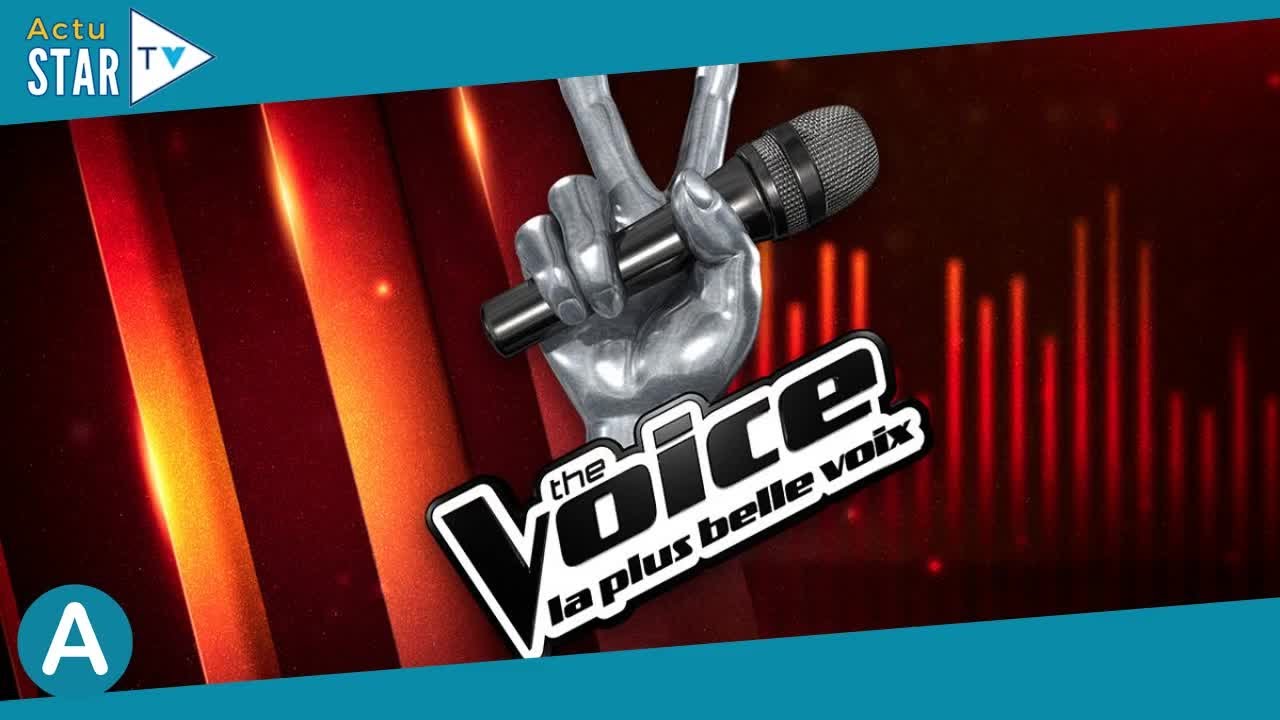 The Voice : 5 coachs pour la saison 12 ! Un come-back et deux nouveaux ...