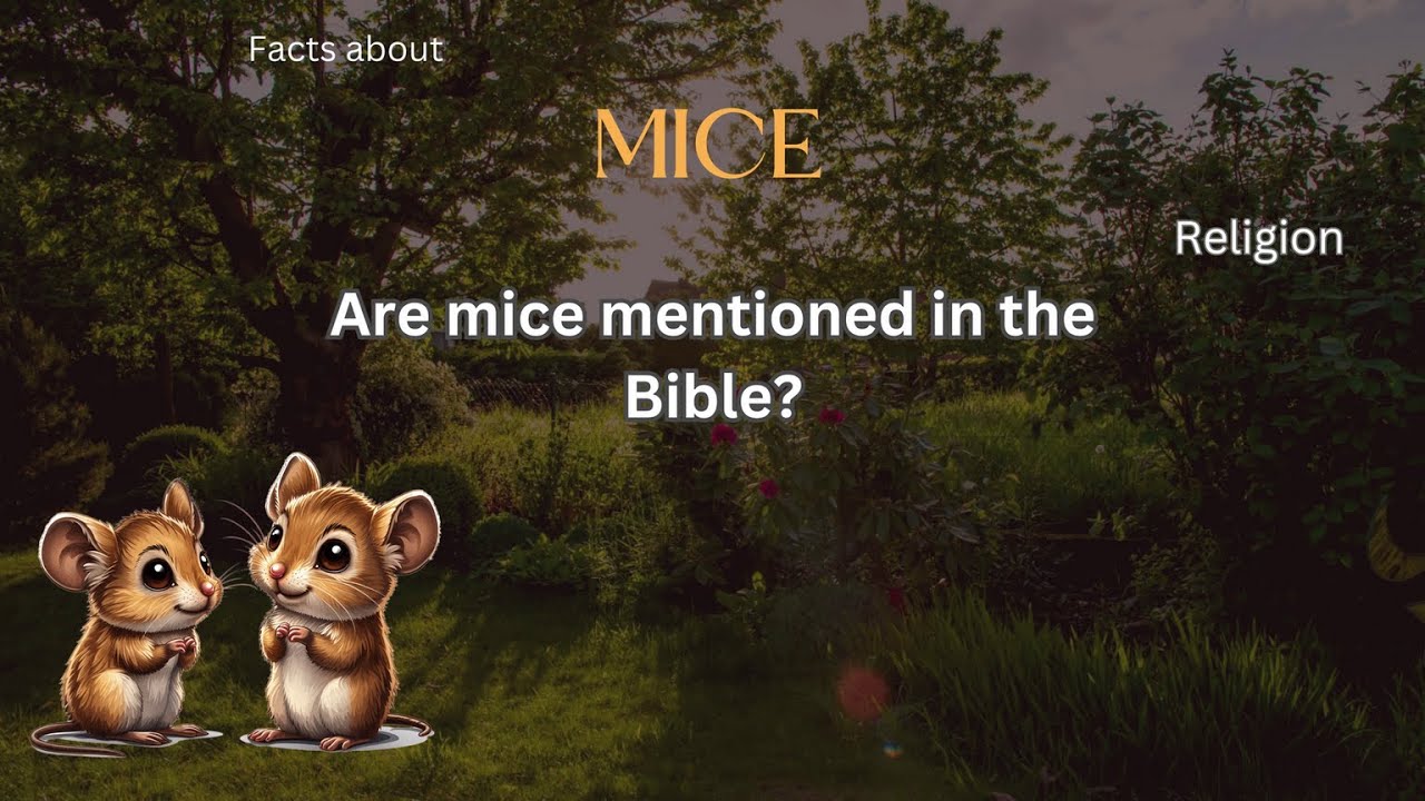 Mouse Fact 19 - Are mice mentioned in the Bible? - YouTube