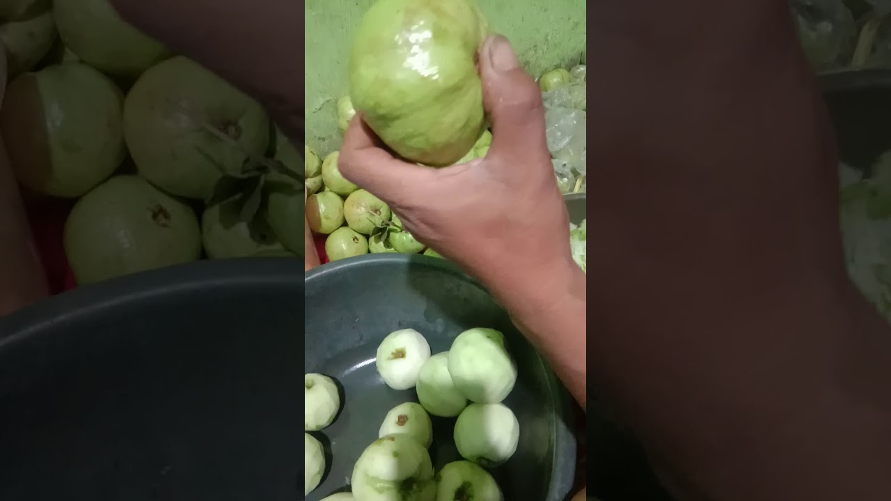 Jambu manisan mamang jmb bandung - YouTube