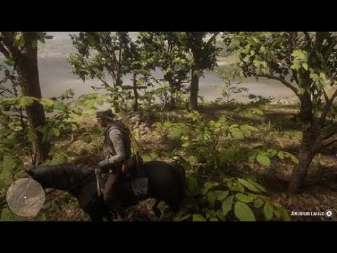 Red Dead Redemption 2 - TÚMULO DE SEAN MACGUIRE - LOCAL EXATO - (LEG PT ...