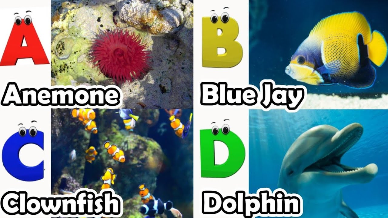 ABC phonics animals | ABC Sea Animals song | English and Animals for ...