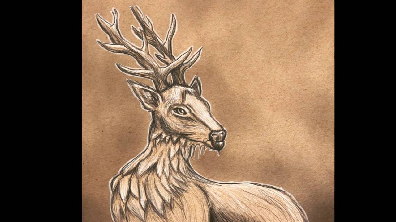 Deer speed drawing (Photoshop and Wacom Intuos Pro) - YouTube