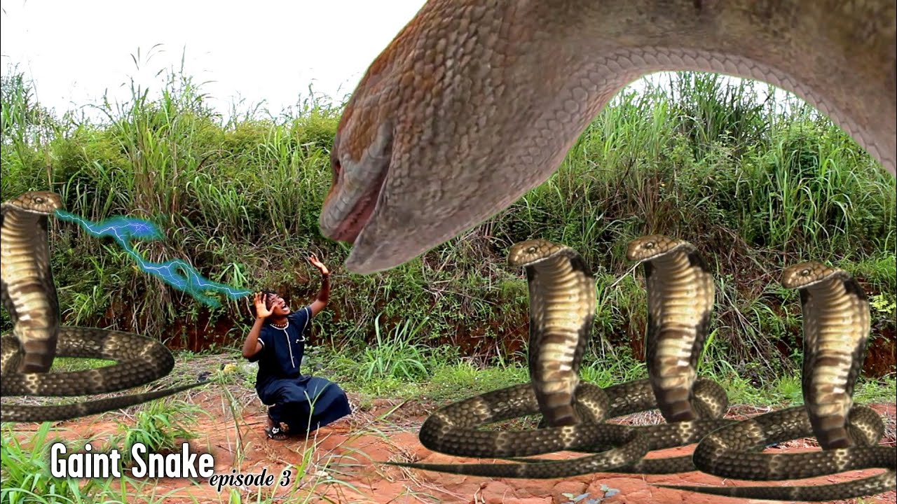 Gaint Snake Episode 3 - YouTube
