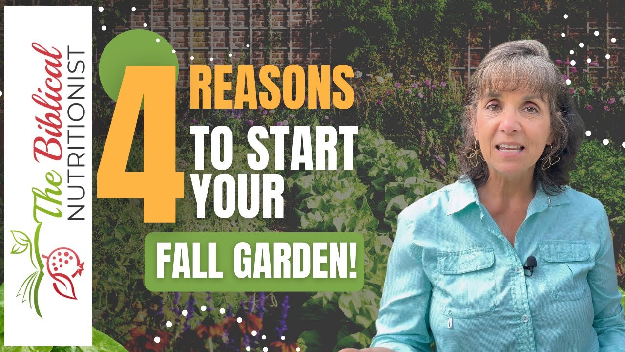 My Fall Garden Tips & Tricks | Top 7 Vegetables to Plant Today! - YouTube