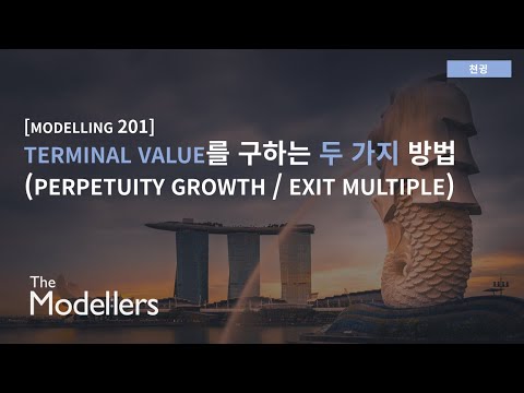 [Modelling 201] DCF에서 Terminal Value를 구하는 두 가지 방법 (Perpetuity Growth ...