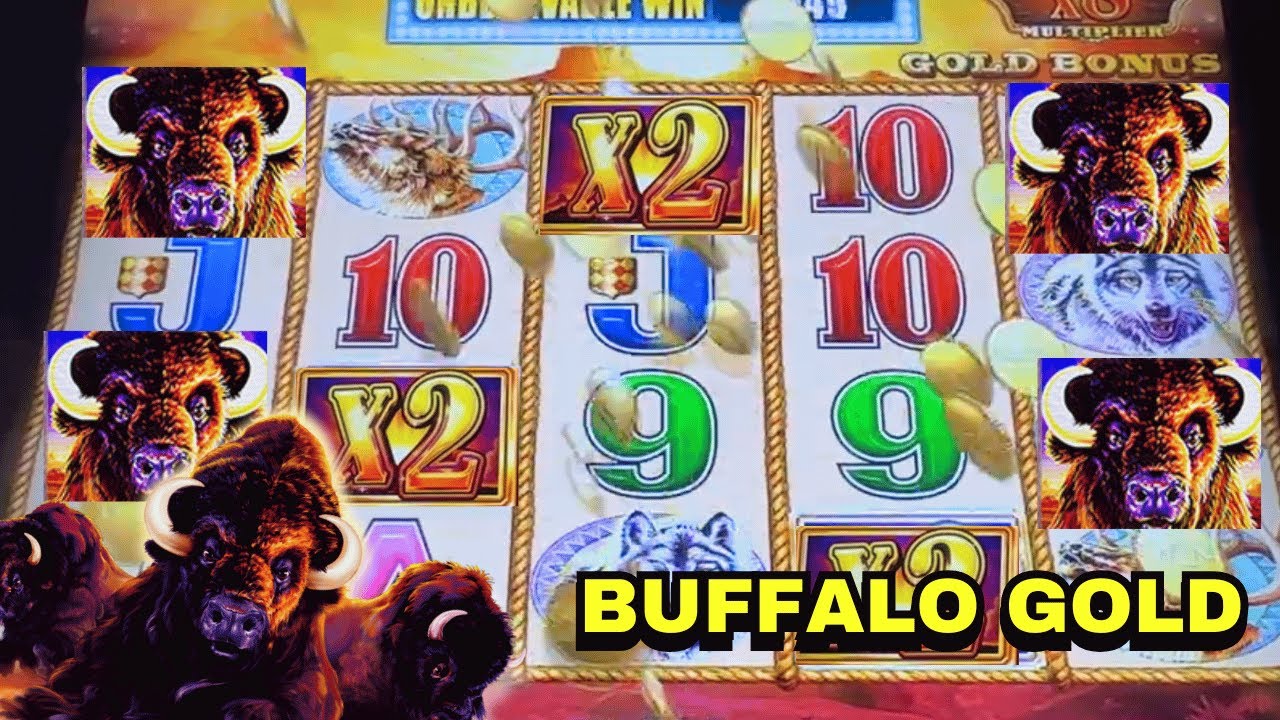 This is why we LOVE Buffalo Gold Bonuses! - YouTube