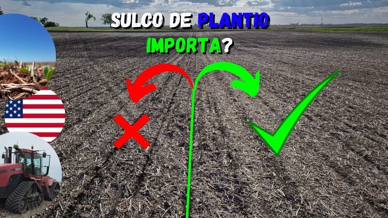 Fechamento do sulco de plantio é importante! - YouTube