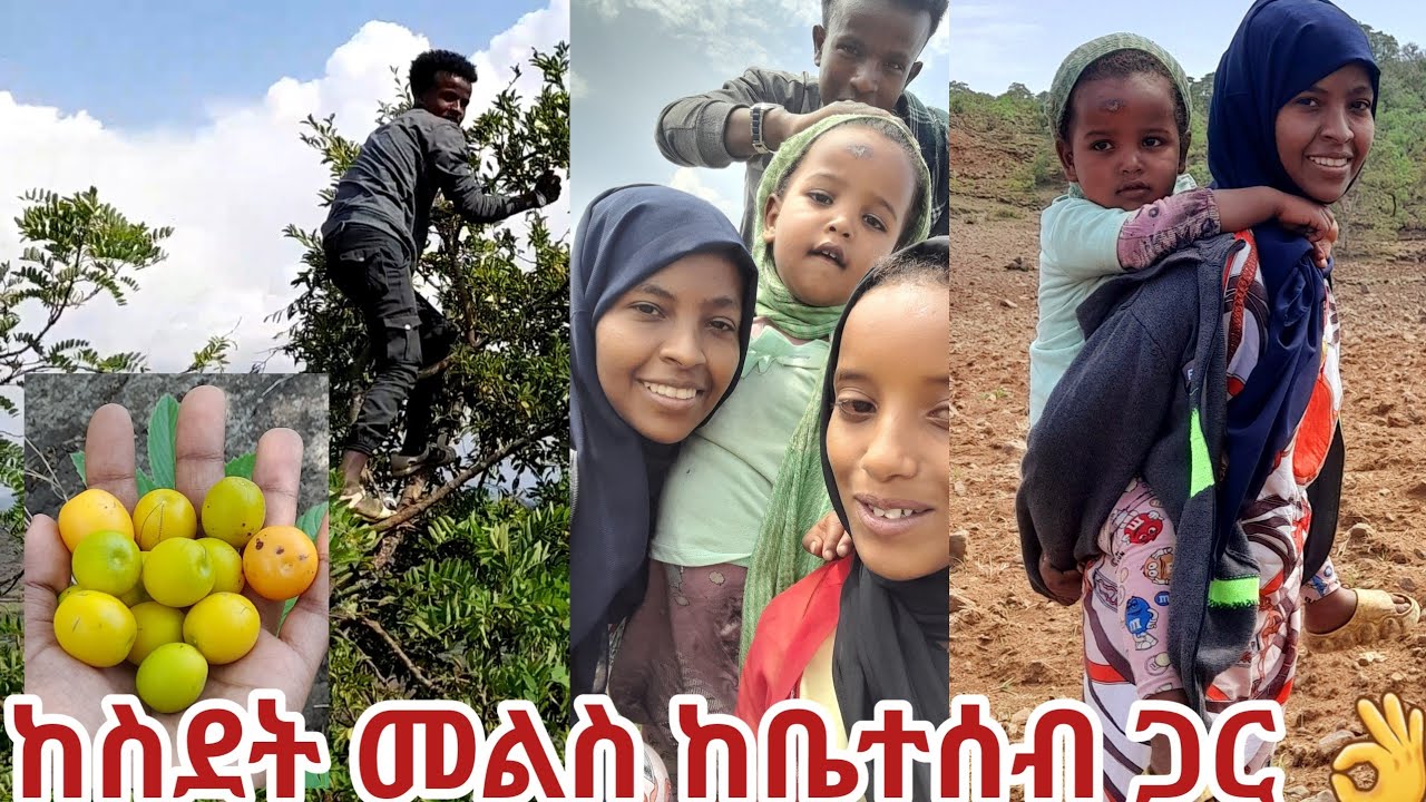 Toyba tube ጦይባ ቲዩብ is live! - YouTube