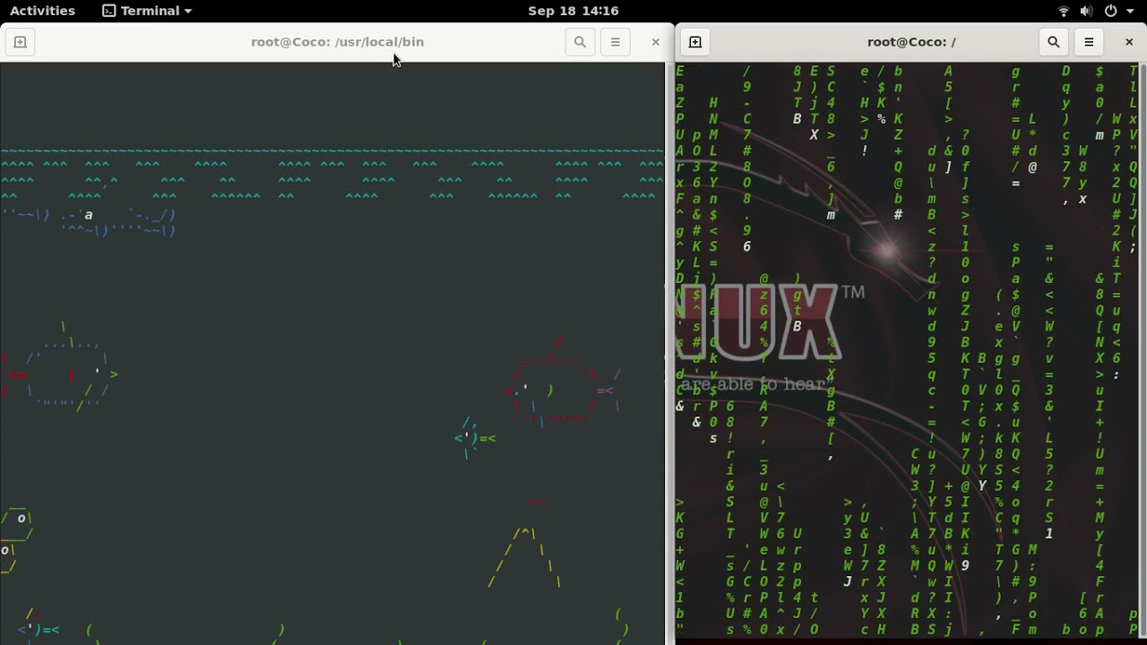 Terminal ASCII Aquarium and Matrix Kali Linux - 4K - YouTube