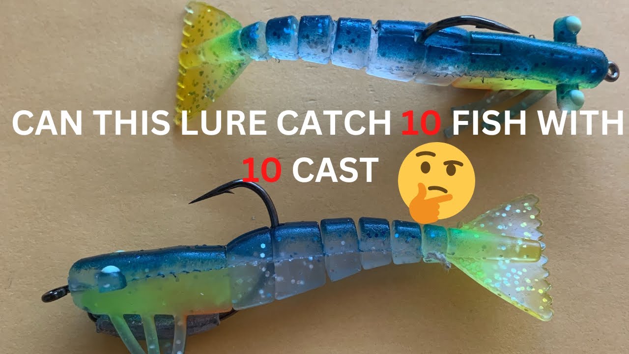 Can this lure catch 10 fish with 10 cast 🤔 - YouTube