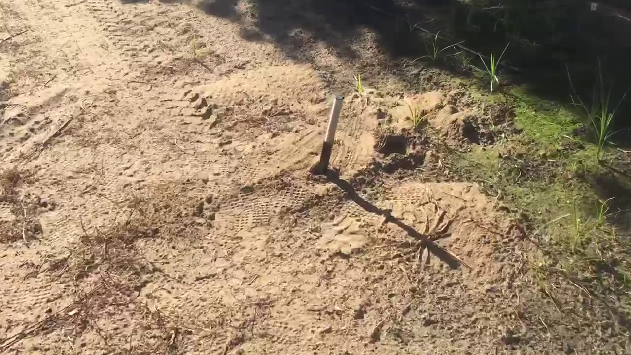Gopher Hawk Trap - YouTube