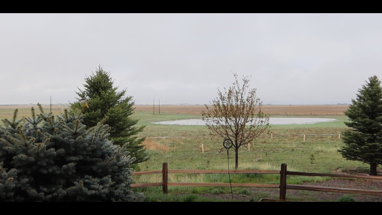 ASMR: Country Homestead Rainy Day - YouTube