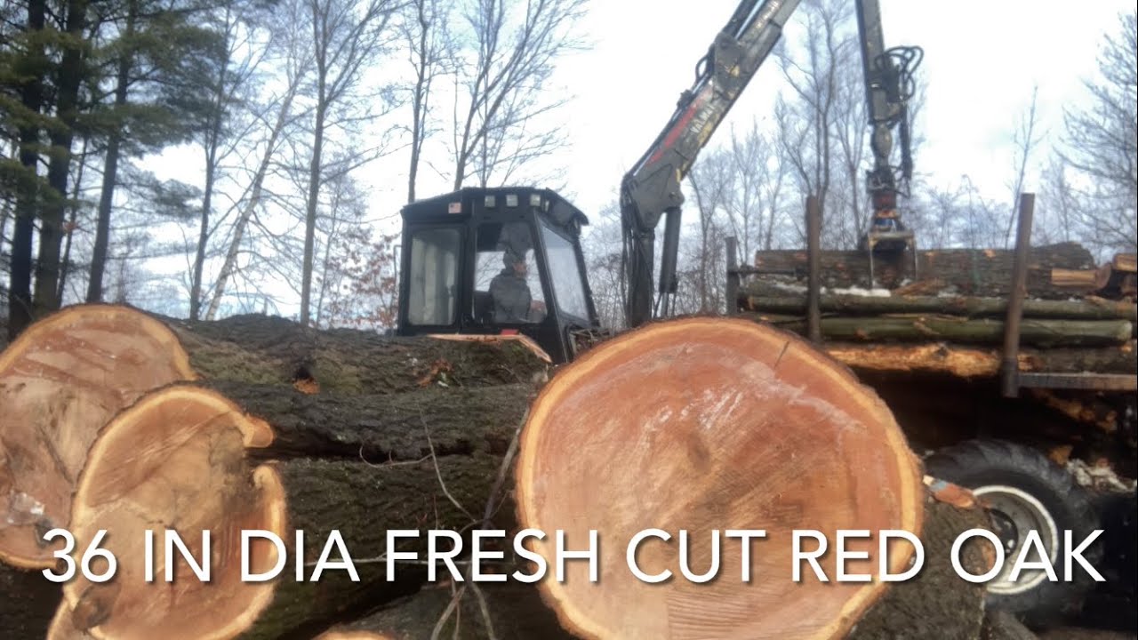 7000lb log can we lift it? - YouTube
