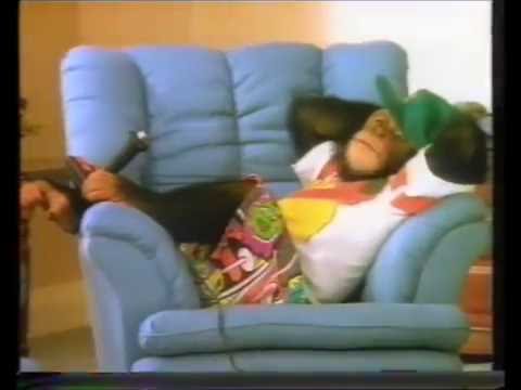 PG Tips monkey's happy christmas Advert (OLD Adverts) - YouTube