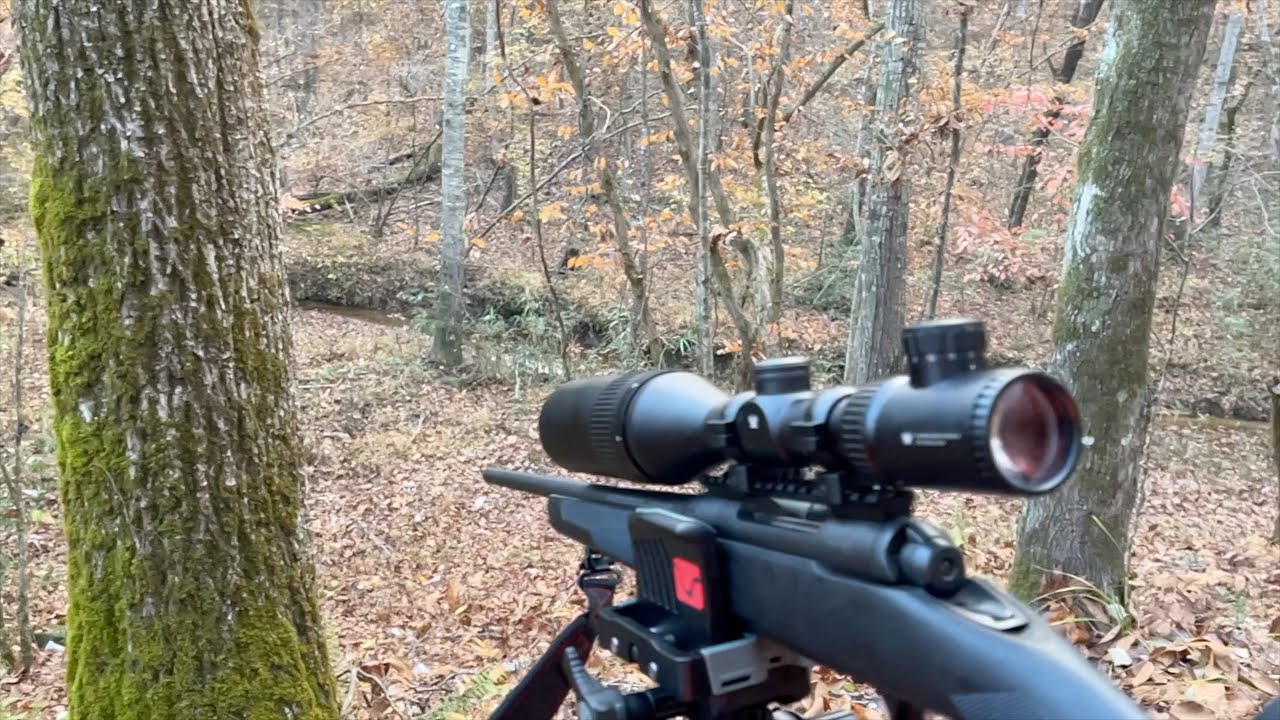 *DEER HUNTING* FIRST DAY OF GUN SEASON!!! - YouTube