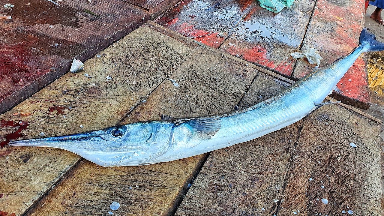 OMG LONG GAR FISH CUTTING SKILLS | GAR FISH SLICING INTO SLICES - YouTube