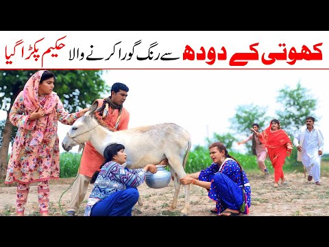 Milk Pack | Ramzi,Noori, Bilo ,Bhootna,Shoki, Sanam, Falak Sher,Funny Video  Rachnavi Tv