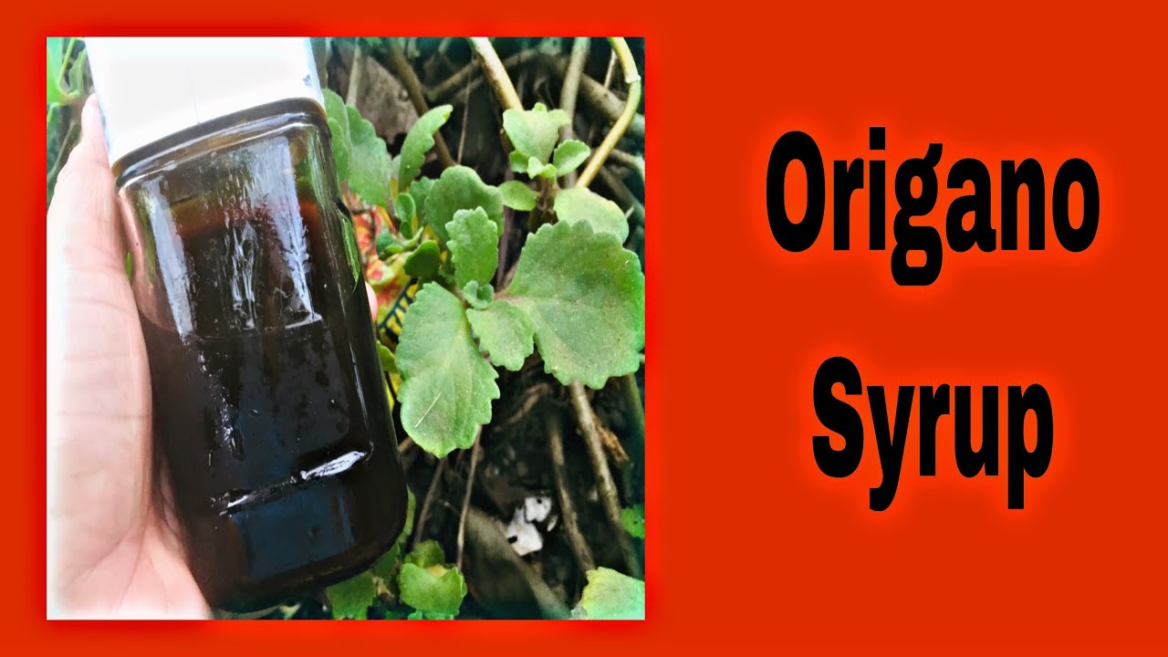 HOW TO MAKE ORIGANO SYRUP AT HOME/KAPITBAHAYTV - YouTube
