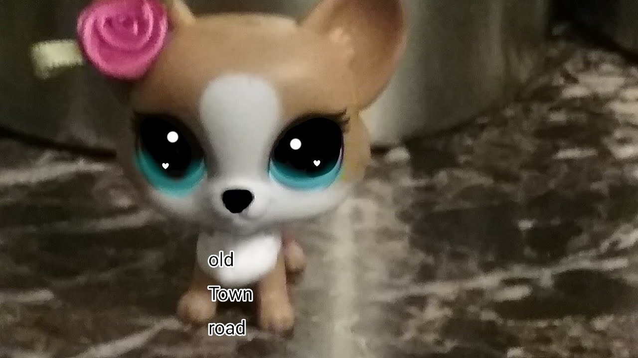Lps mv:old Town road🤠♡ - YouTube