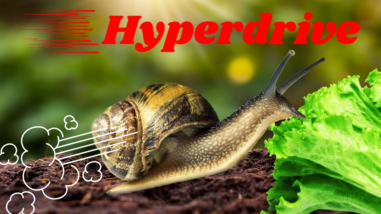 Snail Supersonic: Lettuce Edition - YouTube