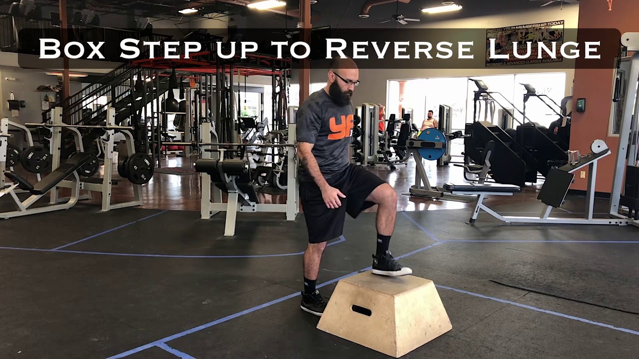 Box Step Up to Reverse Lunge - YouTube