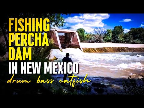 Catching Drums at Percha Dam, New Mexico - YouTube