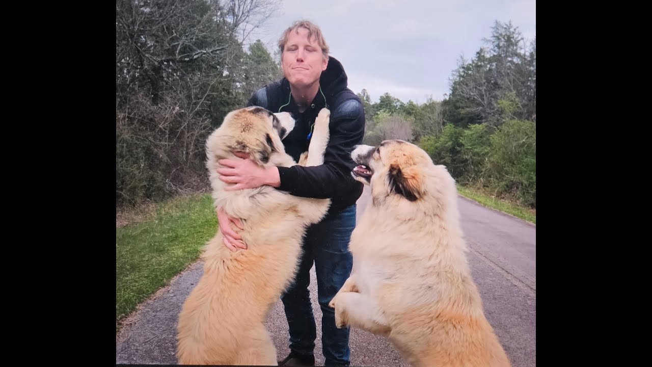 Unbelievable Moments on the Side of the Road with Mr. Beatty - YouTube