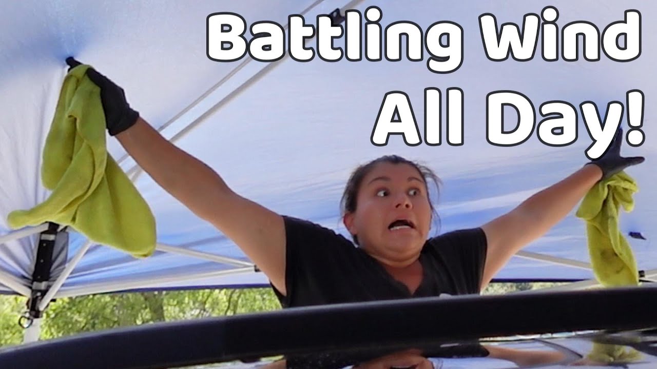 Battling Wind & Flies! - YouTube