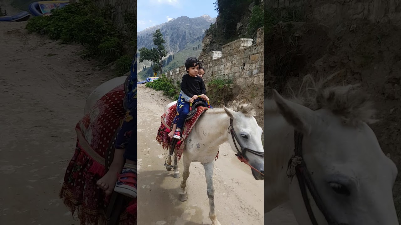 Little baby horse riding 😮 - YouTube