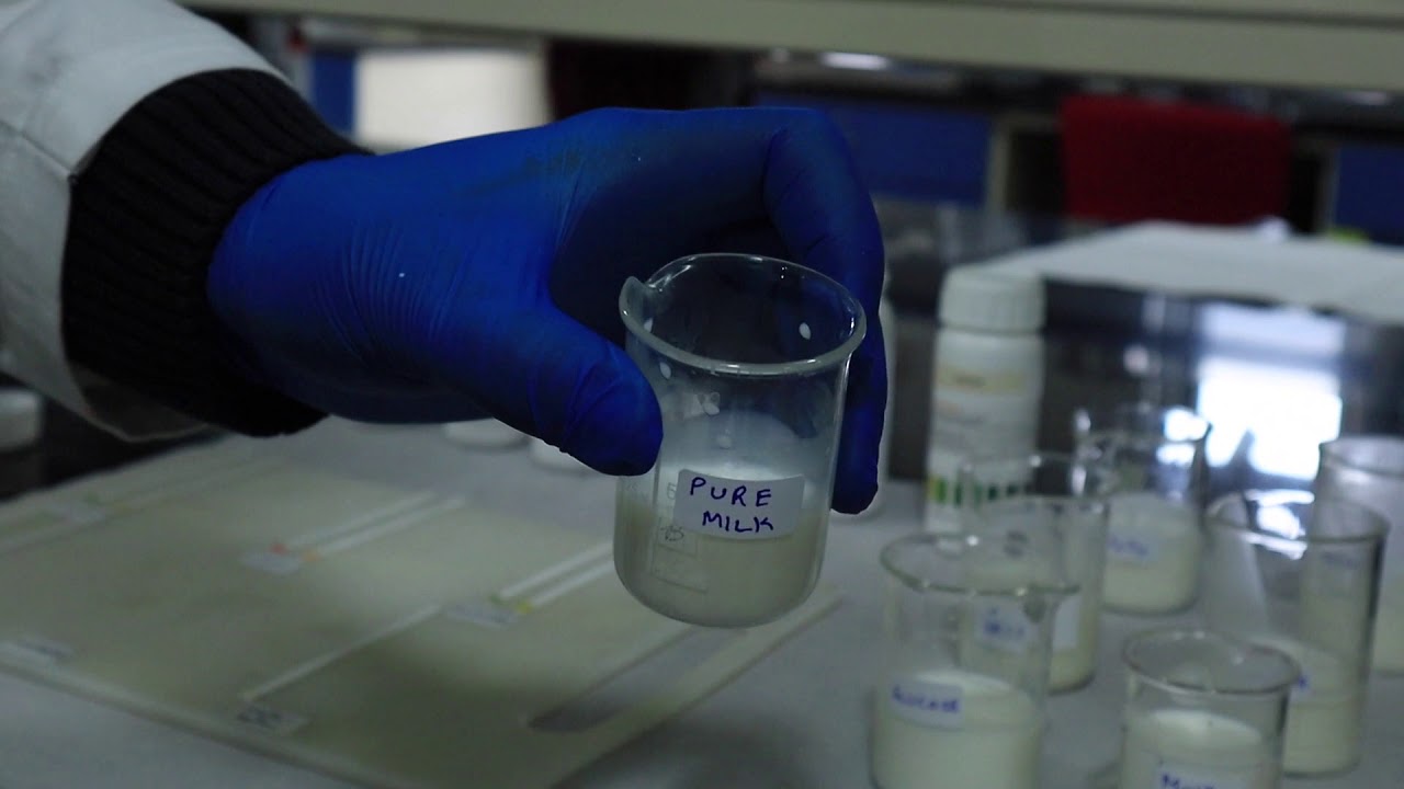 Testing of Adulteration of Milk with Paper Strips Developed at NDRI ...