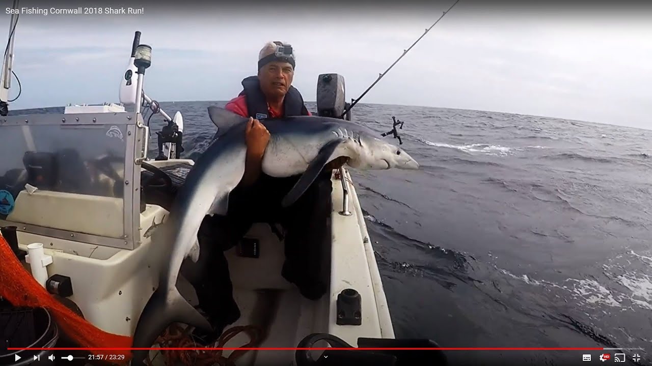 Sea Fishing Cornwall 2018 Shark Run! - YouTube