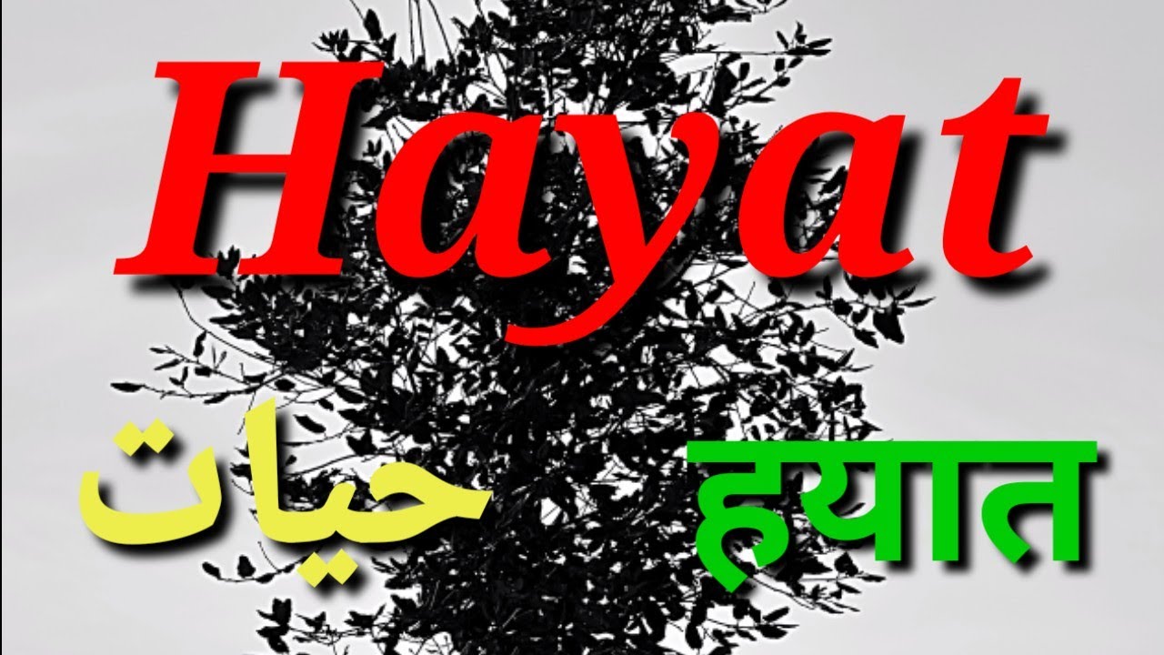 Hayat Name Meaning | Hayat Name Status | Hayat Name WhatsApp Status ...