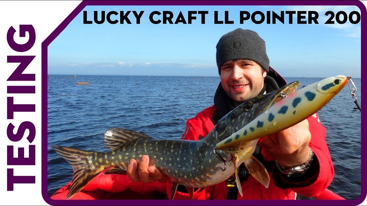 Щука на 20-ти сантиметровый воблер Lucky Craft LL Pointer 200 - YouTube
