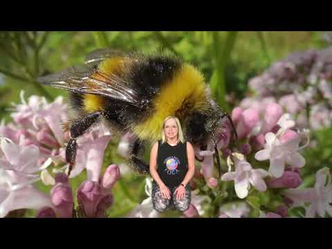 Hibernation Themed Kids Yoga Break - YouTube