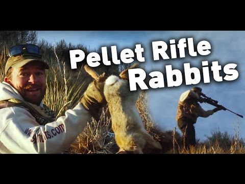 Break Barrel Air Rifle Air Gun Hunting for Rabbit : American Airgunner ...