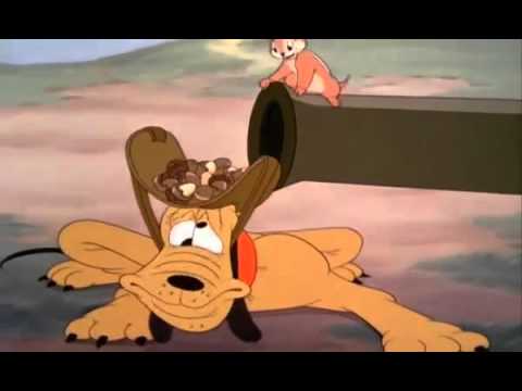 Pluto Pluto Soldat 1943 - YouTube