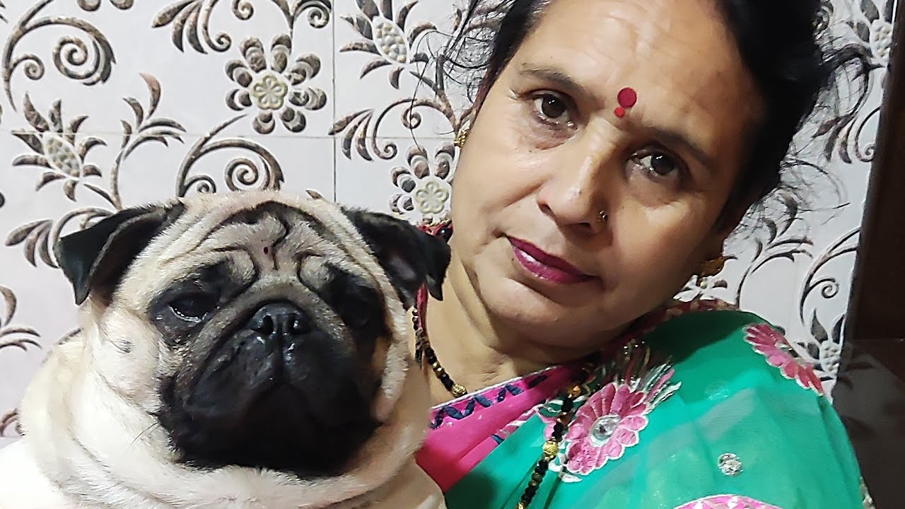 Deepa Rani is live! सभी का स्🙏वागत है दोस्तों प्लीज सपोर्ट करें राधे ...