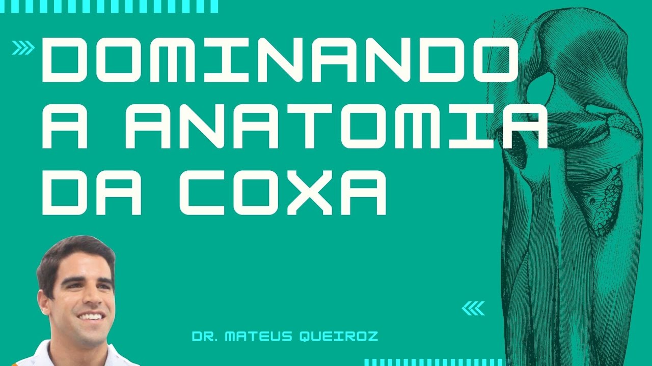 OS SEGREDOS PARA DOMINAR A ANATOMIA DA COXA NO ULTRASSOM - YouTube