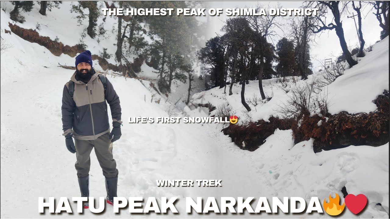 Craziest snow trek HATU Peak Narkanda😍 | One of the highest peak of ...