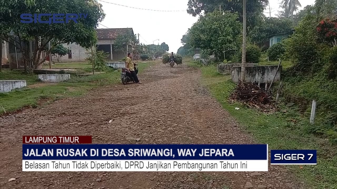 JALAN RUSAK DI DESA SRIWANGI, WAY JEPARA - YouTube