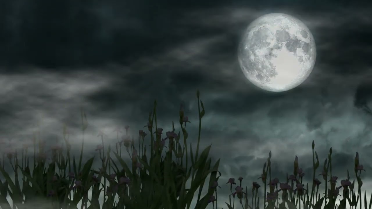 Halloween VJ Loop - Misty Moon Spooky Background Animation - YouTube