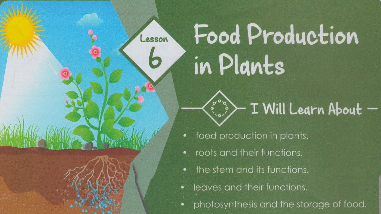 ICSE/GRADE 4/SCIENCE/CHAPTER 6/FOOD PRODUCTION IN PLANTS - YouTube