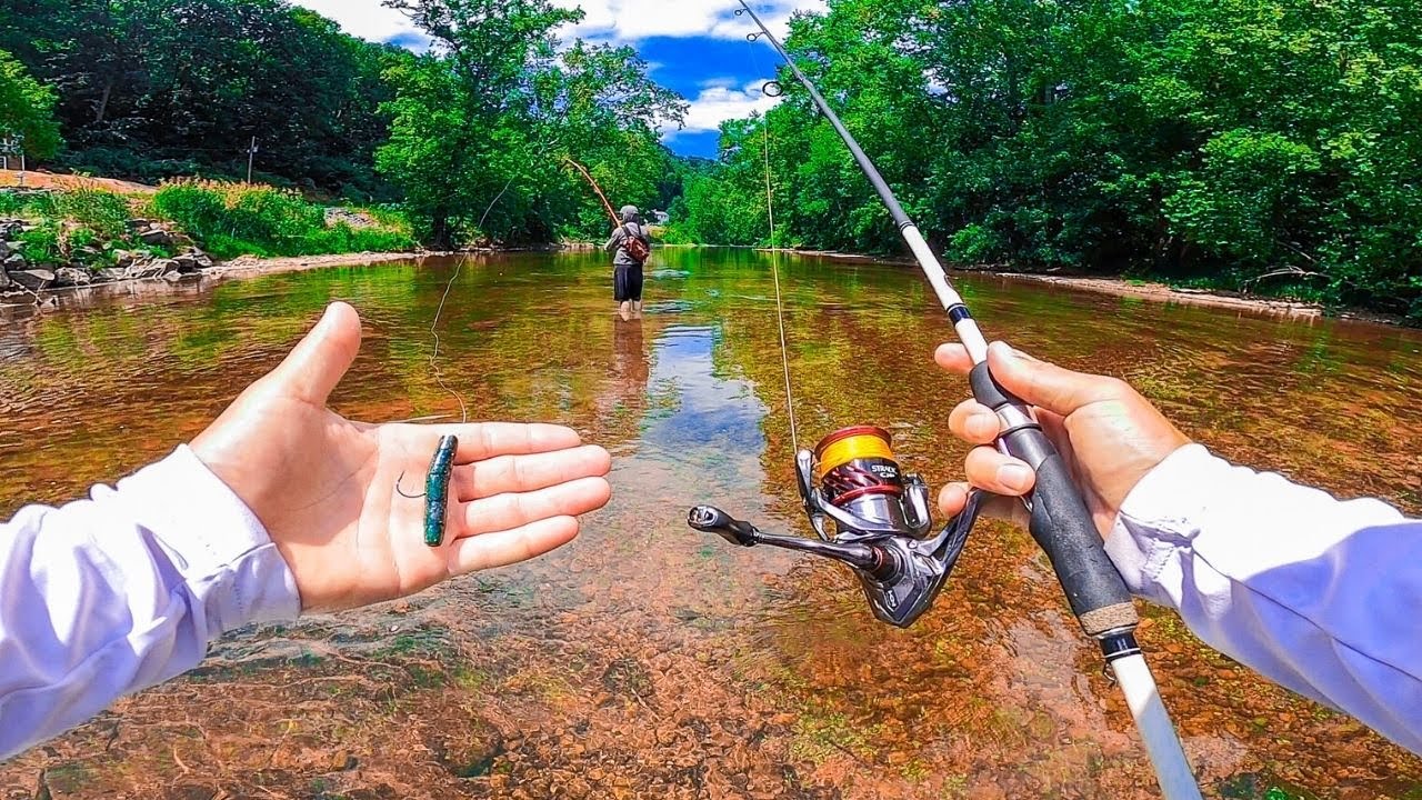 Searching For Smallmouth Wading In SHALLOW Crystal Clear River - YouTube