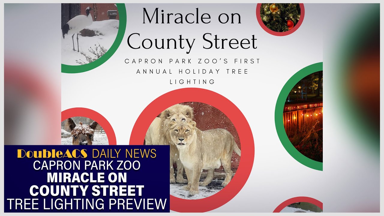 Capron Park Zoo Holiday Tree Lighting Preview - YouTube