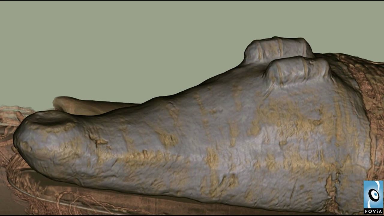 crocodile_mummy_4k_1080p.mov - YouTube