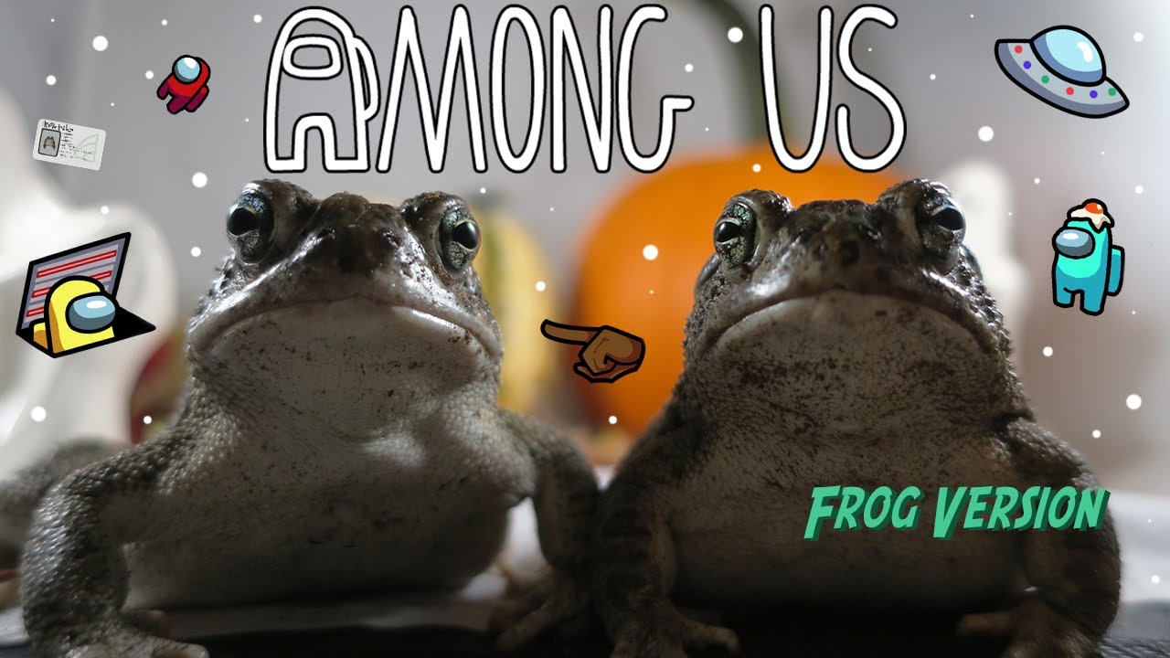 Among Us Frog Version! | Fall Frog Room Tour! - YouTube