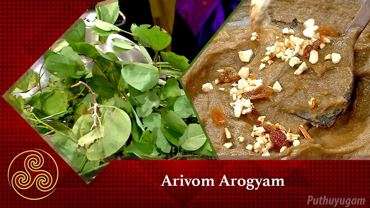 Mantharai leaf benefits | Jaggery Syrup (Vellam Pagu) Halwa | Arivom ...