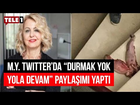 Prof. Dr. Esin Davutoğlu Şenol'u tehdit eden aşı karşıtı zanlı serbest bırakıldı!